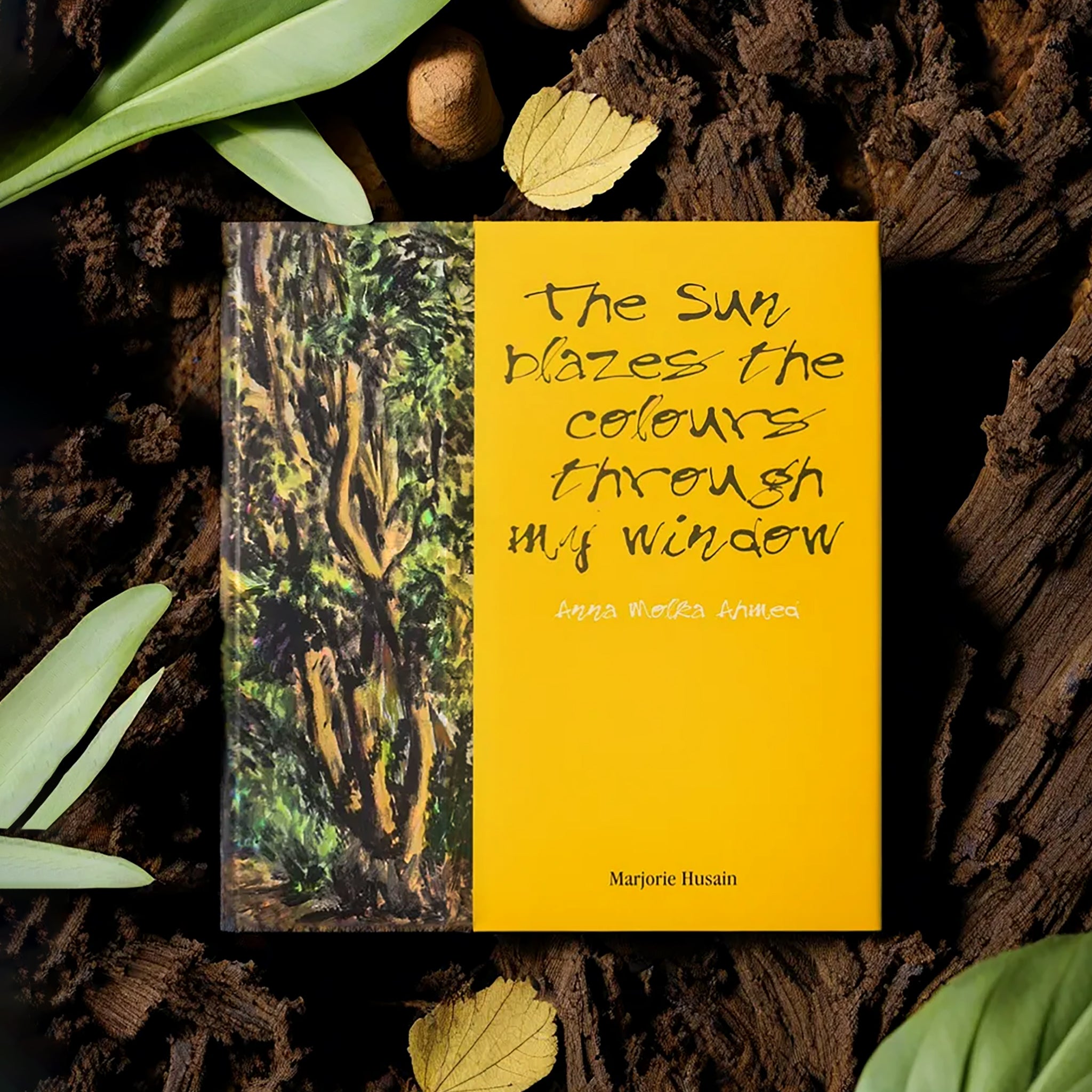 The Sun Blazes the Colours Through My Window Anna Molka Ahmed - Marjor